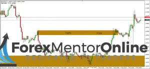 3 Sam Seiden's Trading Tips Every Supply & Demand Trader Must Know!