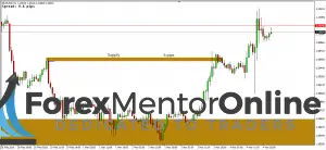 3 Sam Seiden's Trading Tips Every Supply & Demand Trader Must Know!